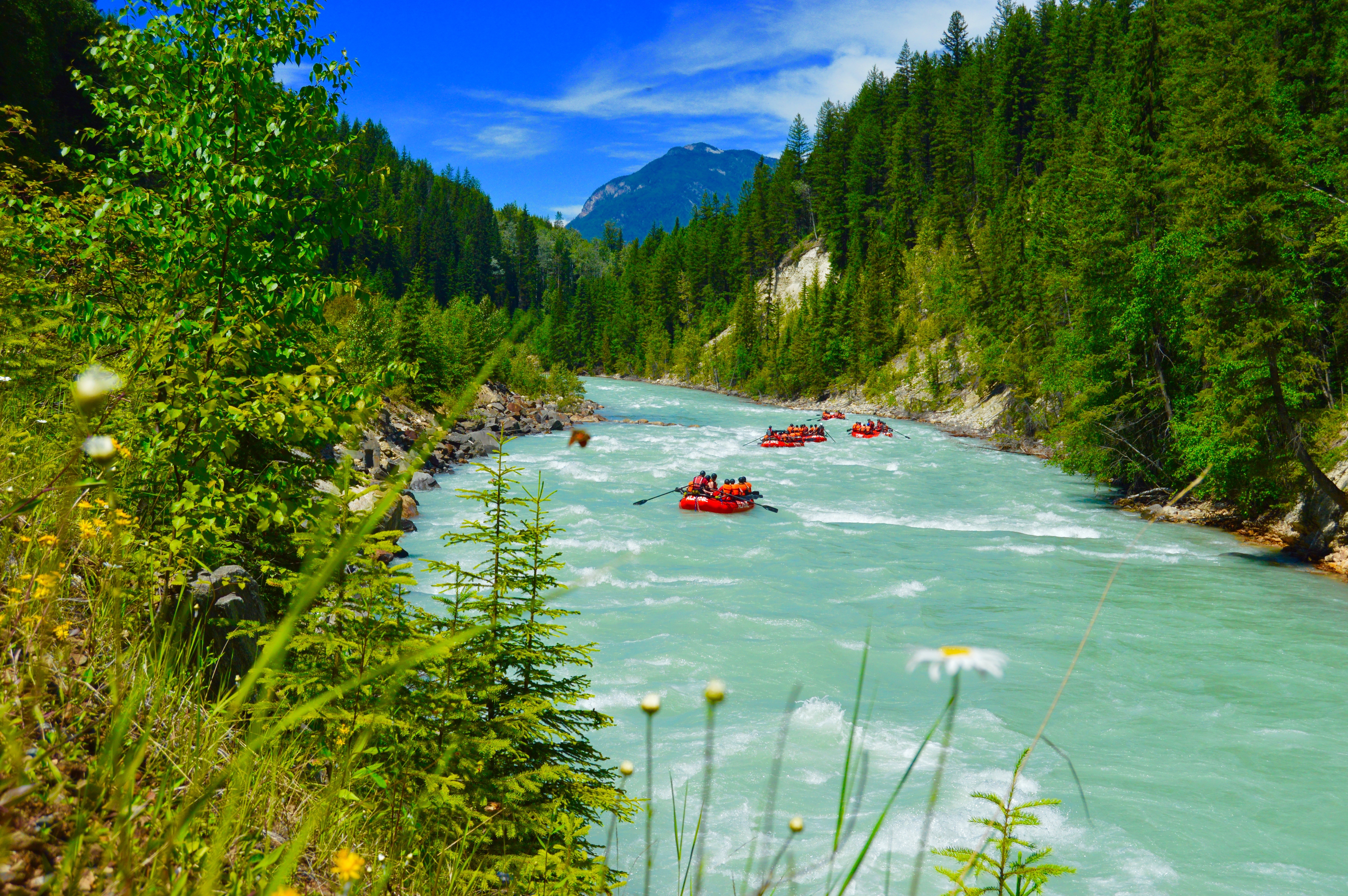Half Day Whitewater Rafting | Trips | Alpine Rafting, Golden, BC